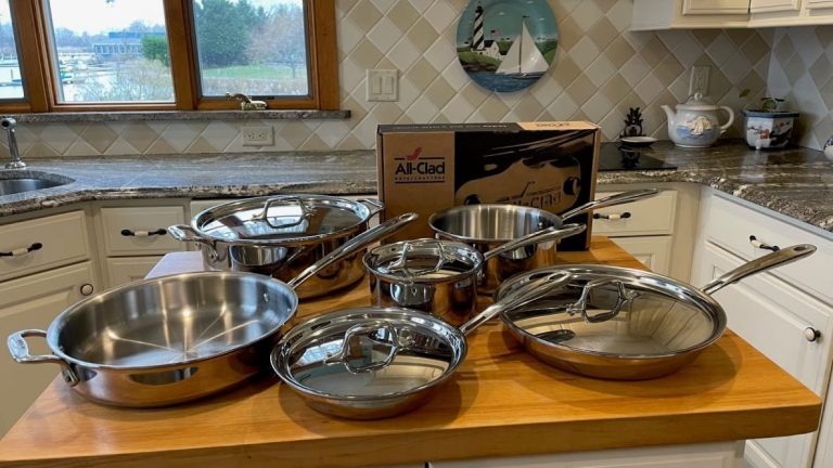 All Clad Stainless Steel 10-Piece Set Review: Ultimate Review ...